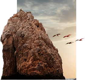 Contact Us • Global Returns Project