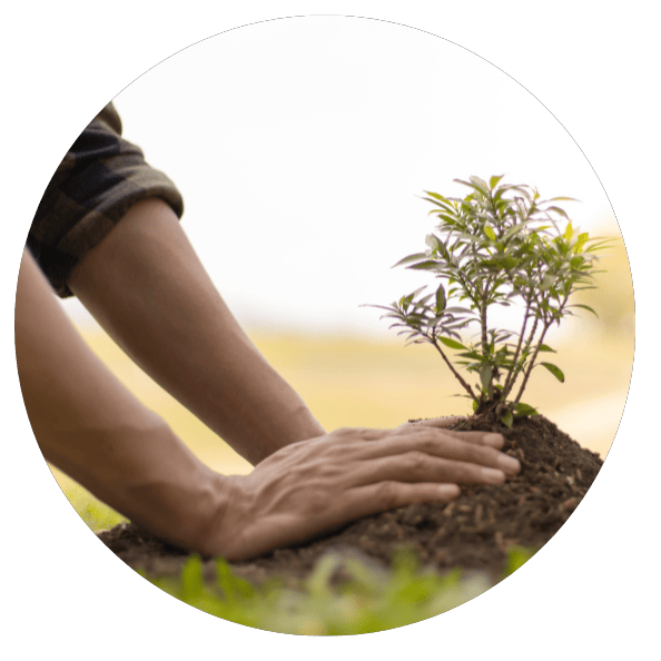 How it Works • Global Returns Project