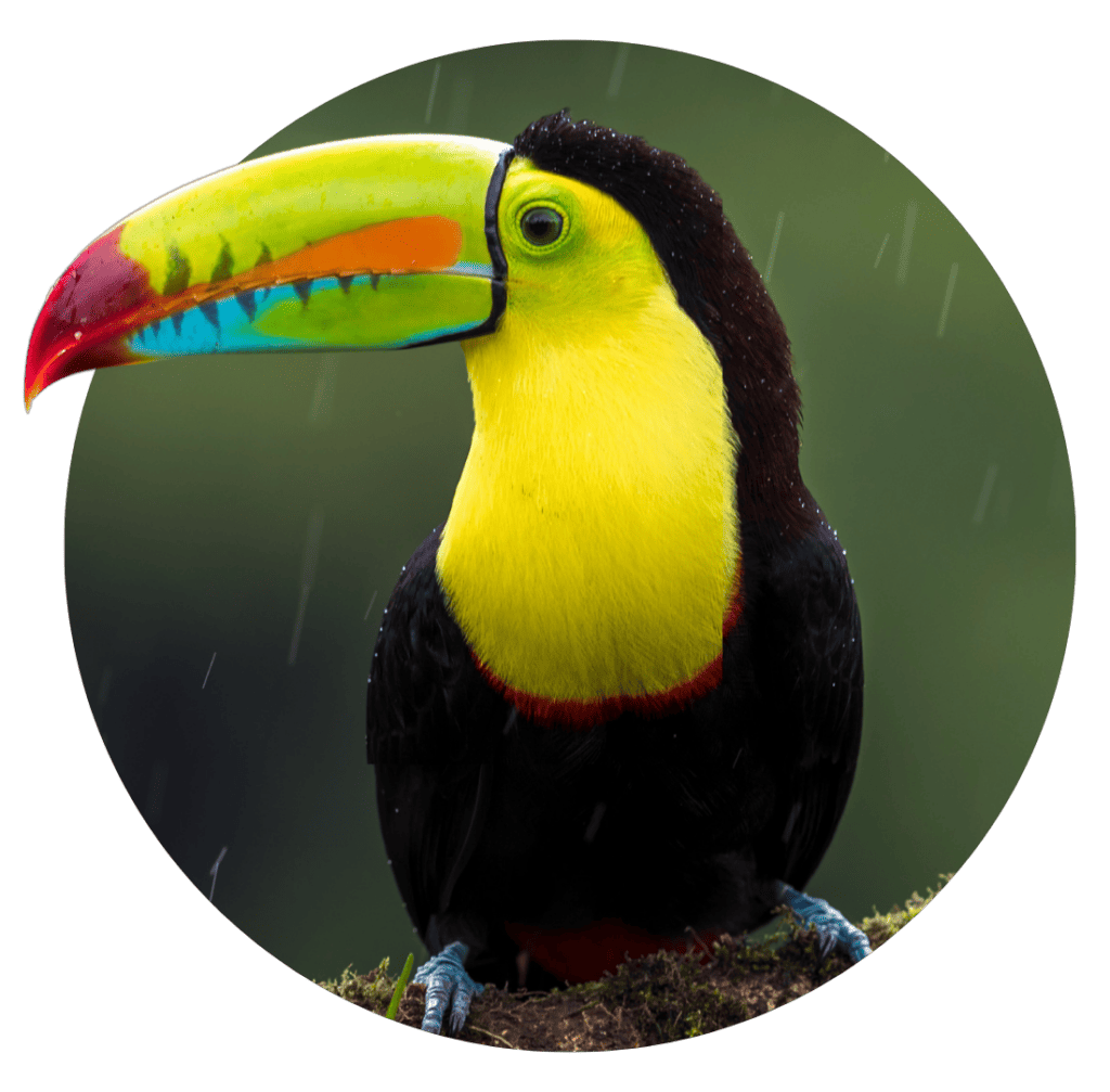 OUR CORE COSTS • Global Returns Project